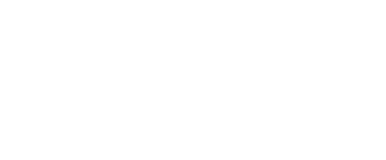 銀行スコアリングのAIシステムを搭載。
